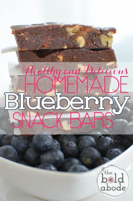 Homemade Blueberry Snack Bars