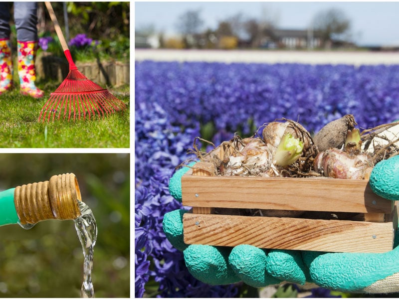 13 Things You Need to Do to Get Ready for Fall! Plus Free Fall Home ...