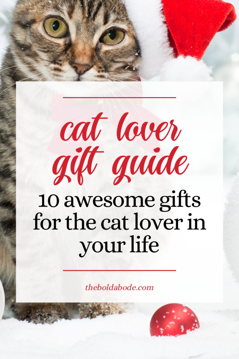 Gift Ideas for Cat Lovers